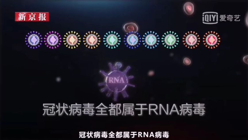 3D详解新型冠状病毒变异全过程!