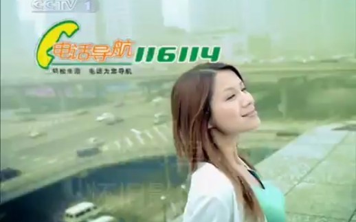 2008 02 06 cctv1 广告片段 中央电视台2008年春节联欢晚会开始前的