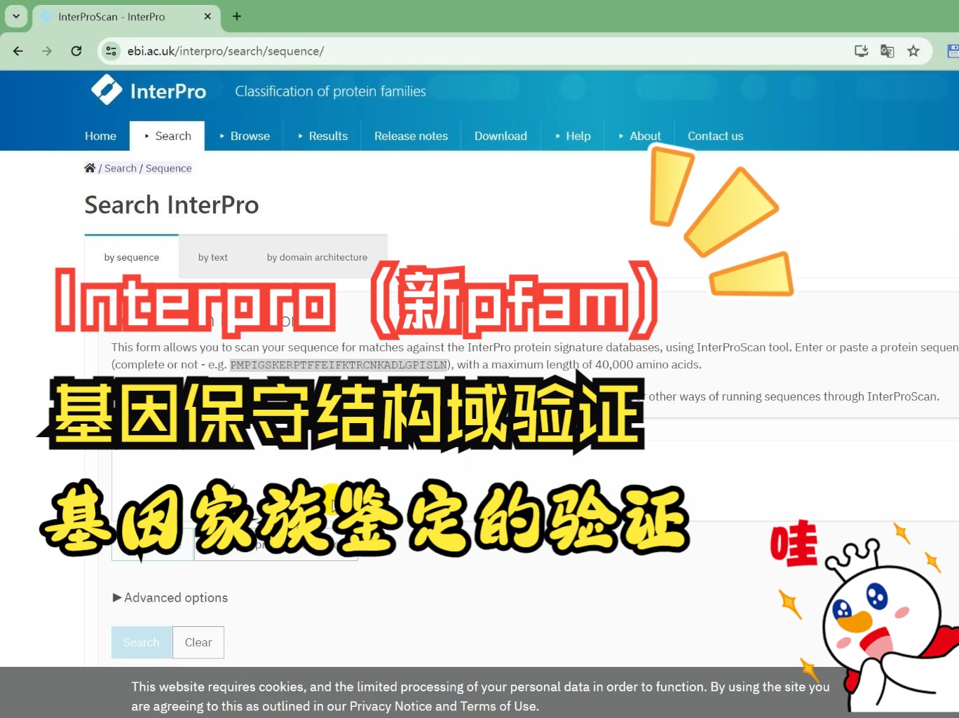 Interpro验证保守结构域(基因家族鉴定验证)(pfam的新版)(20240324更新)