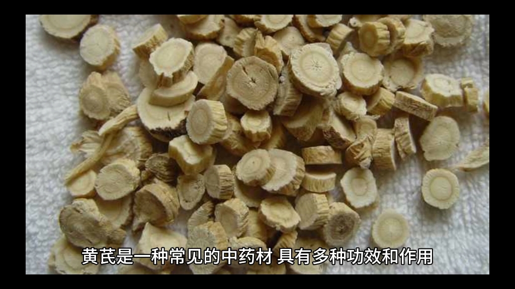 黄芪的作用和功效