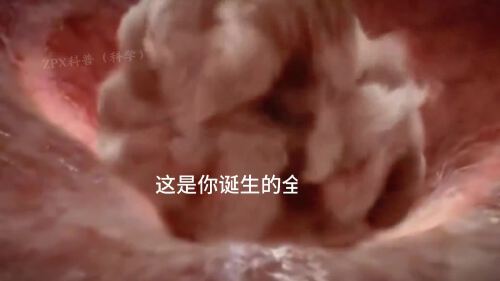 生命的诞生真的很神奇,从蝌蚪变成人的过程历尽千辛万苦