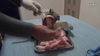 V型槽羊肉切片机287操作视频