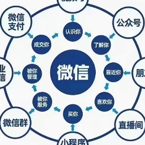 个微管理系统吴凡 