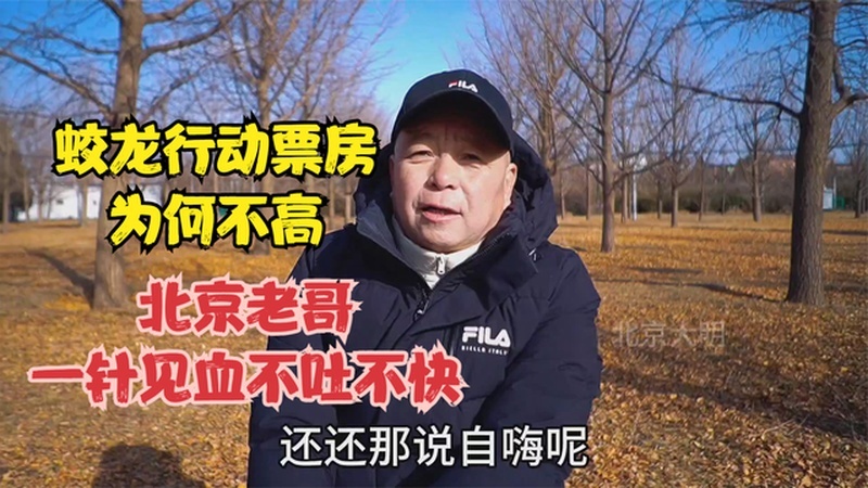蛟龙行动为何票房不高,北京老哥一针见血,不吐不快