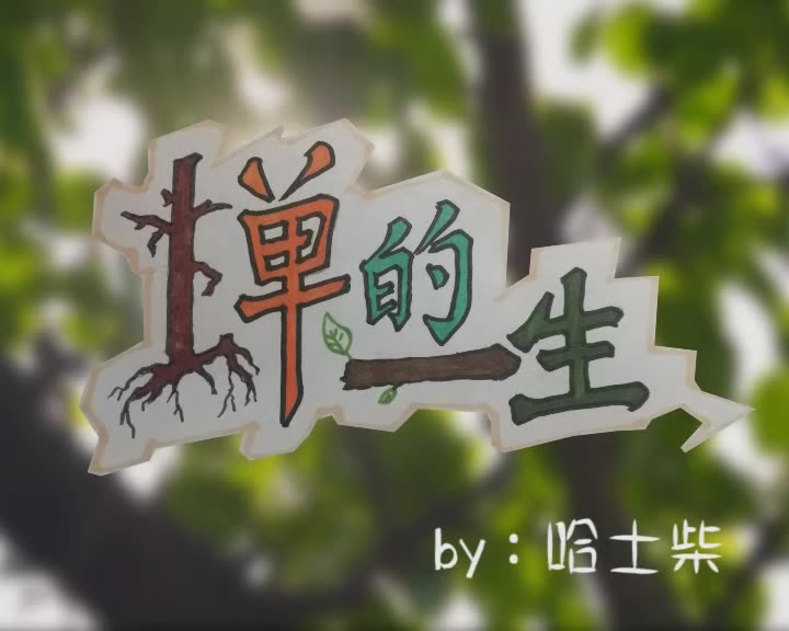 【定格动画试制】《蝉的一生》pr剪辑