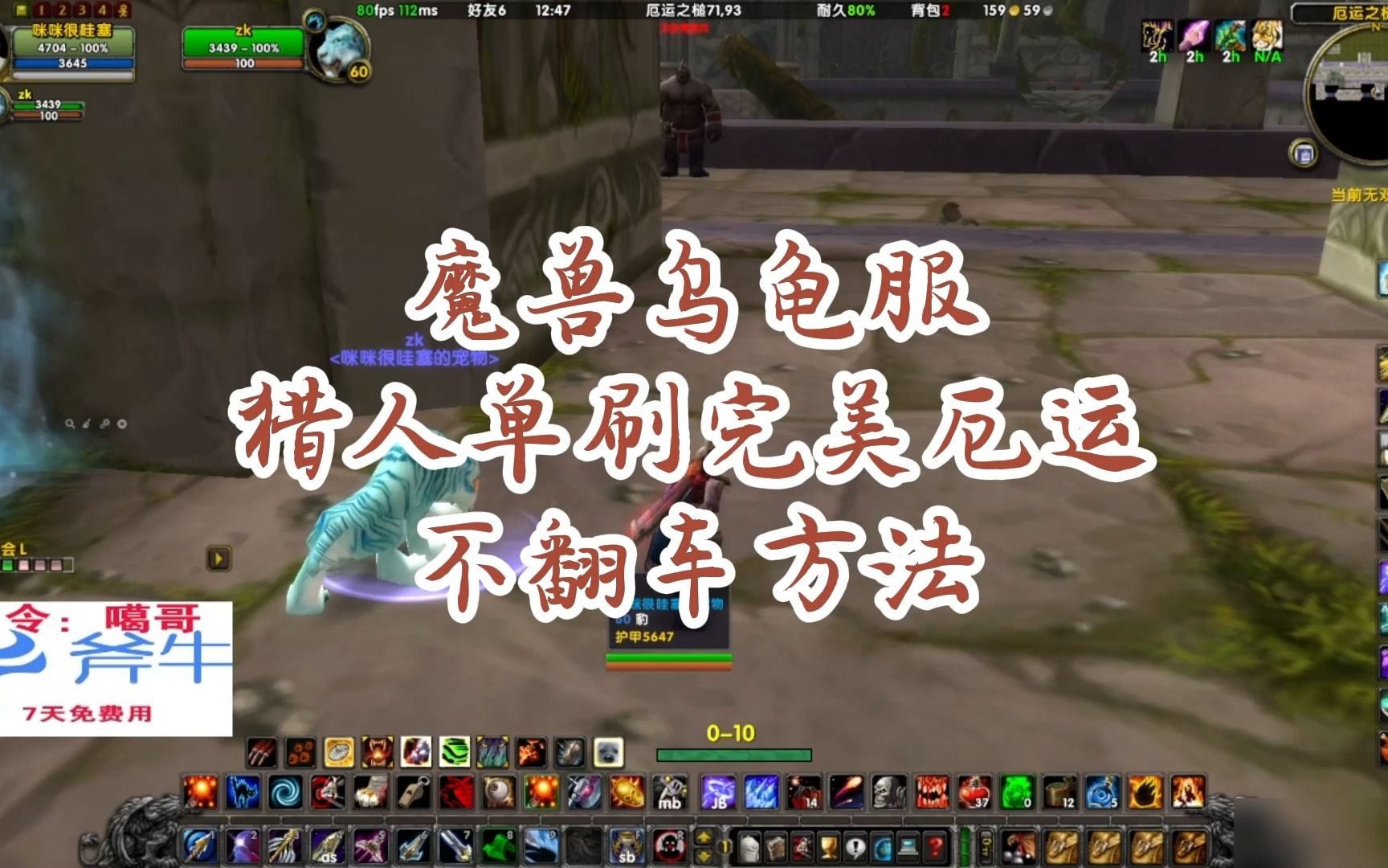 魔兽乌龟服新手猎人单栓完美厄运不翻车方法,一般人我不告诉他!