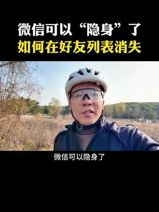 .让你的微信在好友列表里突然消失,悄悄地隐身!#微信隐藏功能#手机.