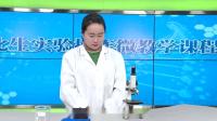 10观察根尖永久切片