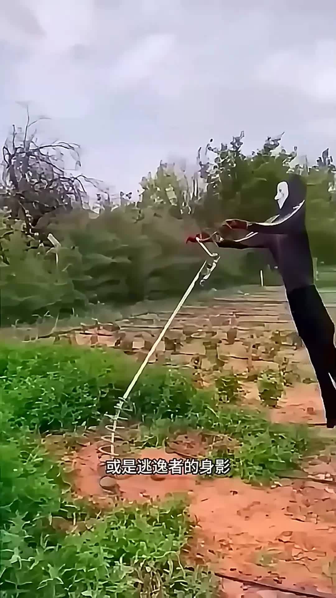 独特稻草人的用处。