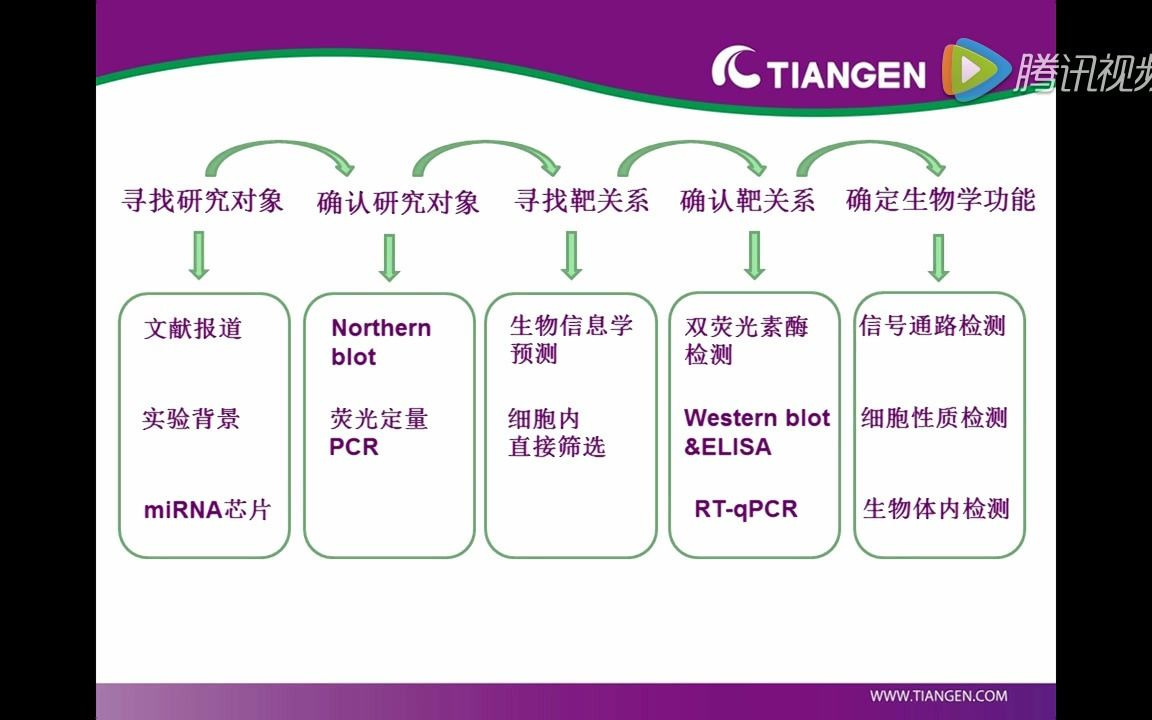 玩转TargetScan-把TargetScan数据库讲得最好的视频