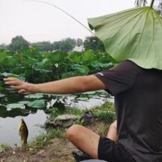 柯南钓鱼呀