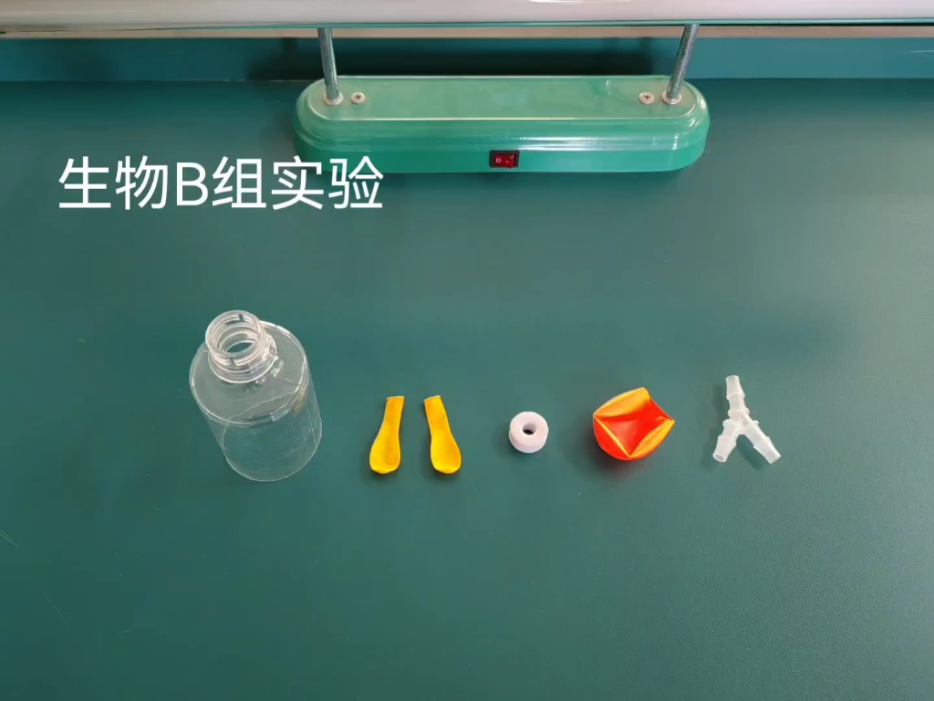 初中生物实验之模拟肺呼吸模型