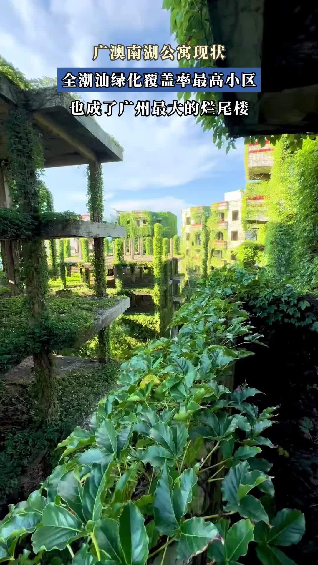 广澳南湖公寓现状,全潮汕绿化覆盖率最高小区