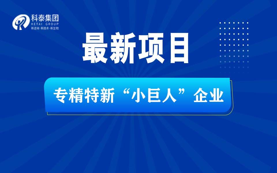2022年专精特新“小巨人”企业,申报时间6月21日至6月28日