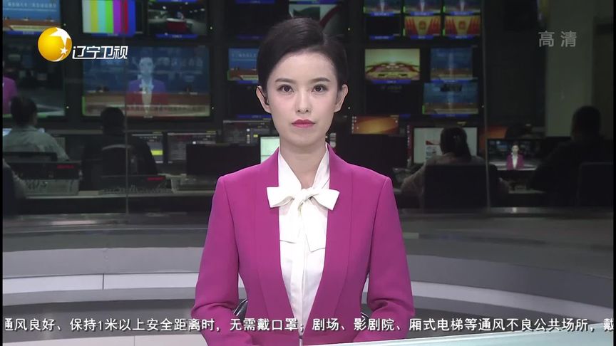 辽宁代表团分组审议各项决议草案、草案建议表决稿和决定