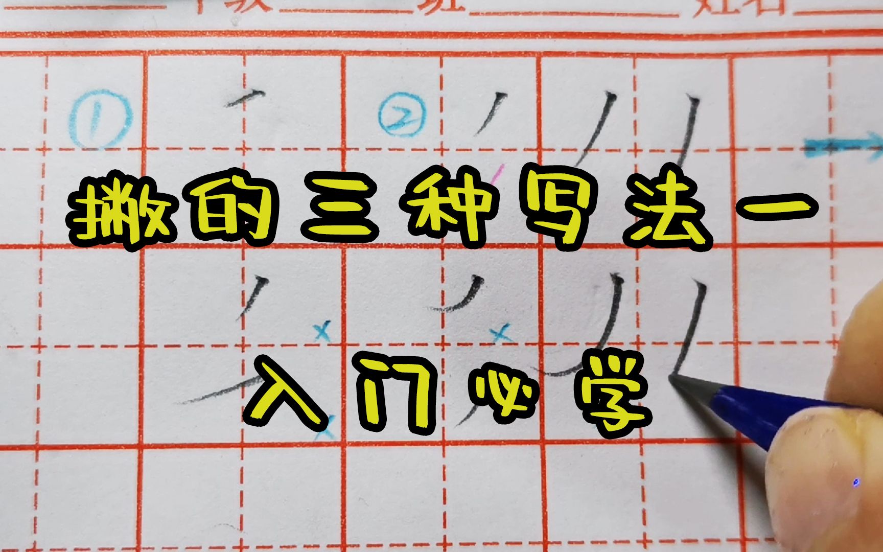 撇的三种写法,手指只需2个动作写出粗细变化,初学者写字入门五