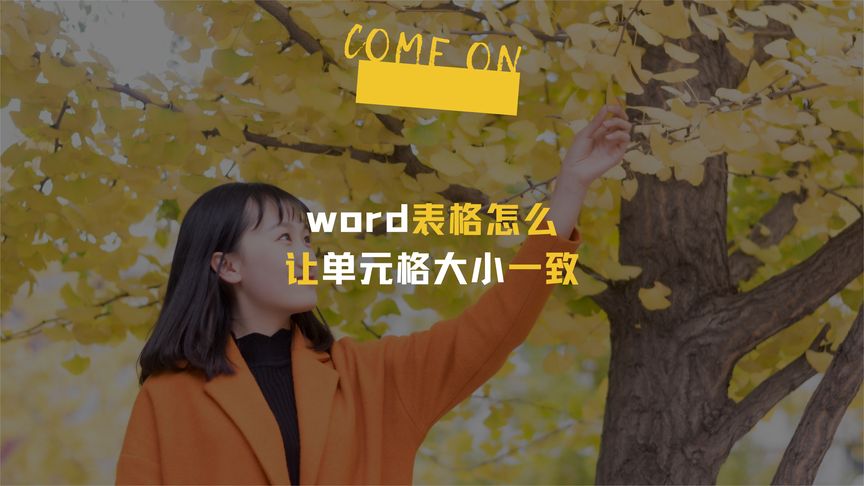 word表格怎么让单元格大小一致