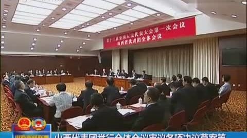 山西代表团举行全体会议审议各项决议草案等