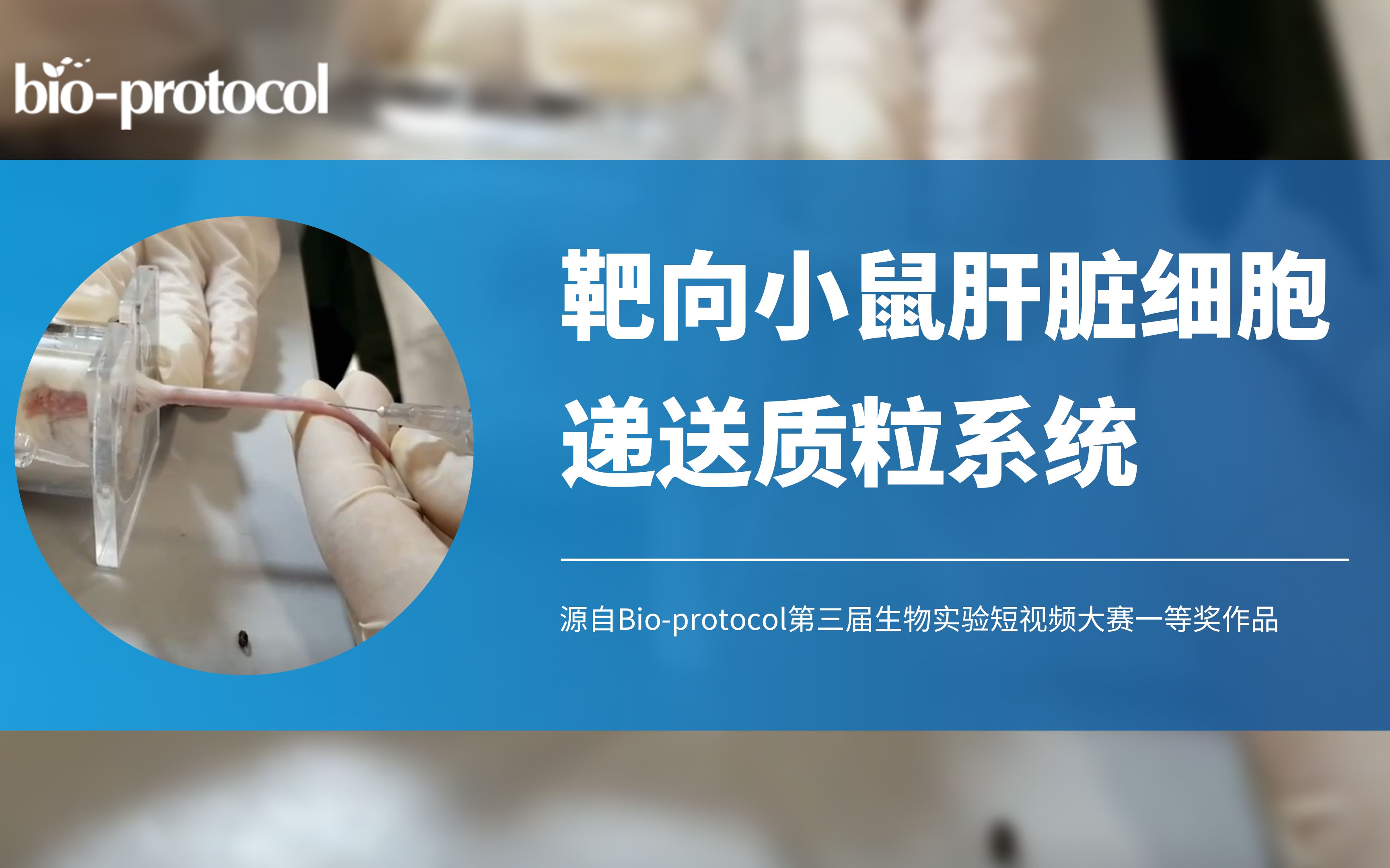【短视频大赛】靶向小鼠肝脏细胞递送质粒系统