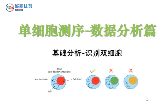 单细胞测序数据分析-识别双细胞-数据校正