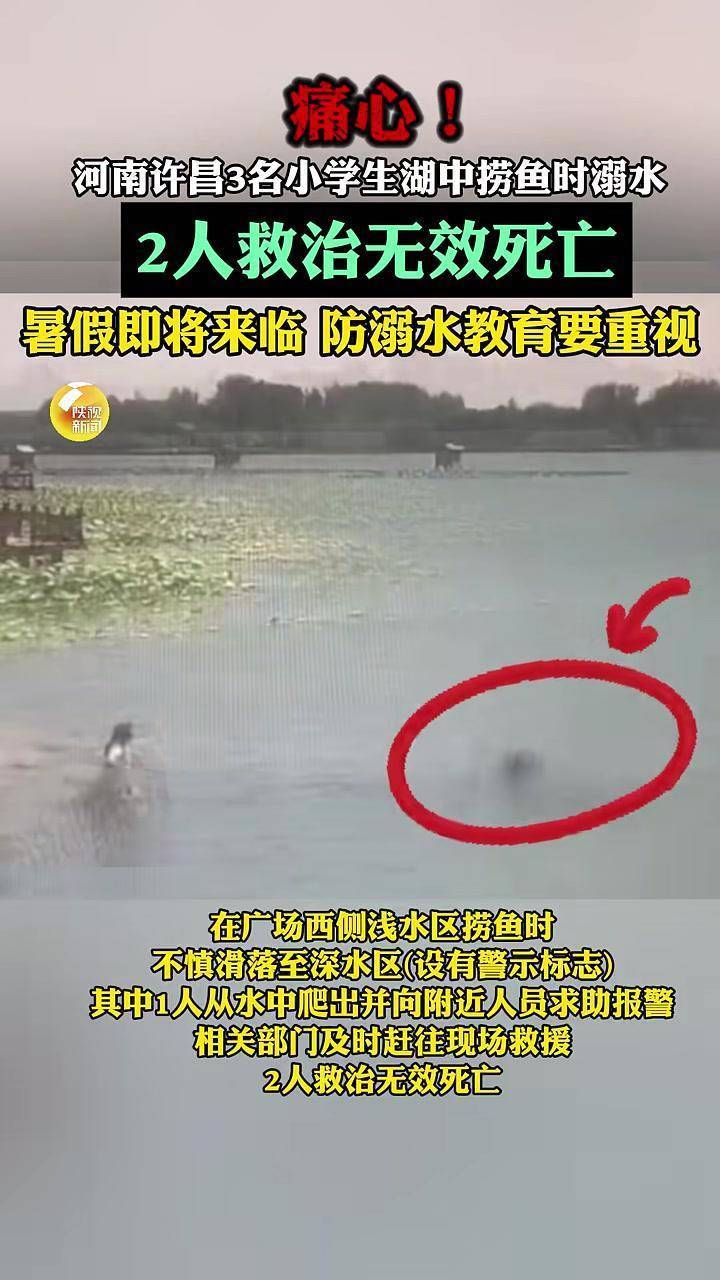 河南许昌3名小学生湖中捞鱼时溺水,2人救治无效死亡(视频剪辑:荆星...