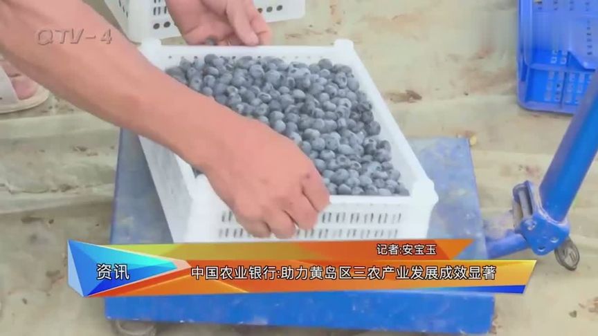 中国农业银行助力黄岛区三农产业发展,带动当地农民增产增收!