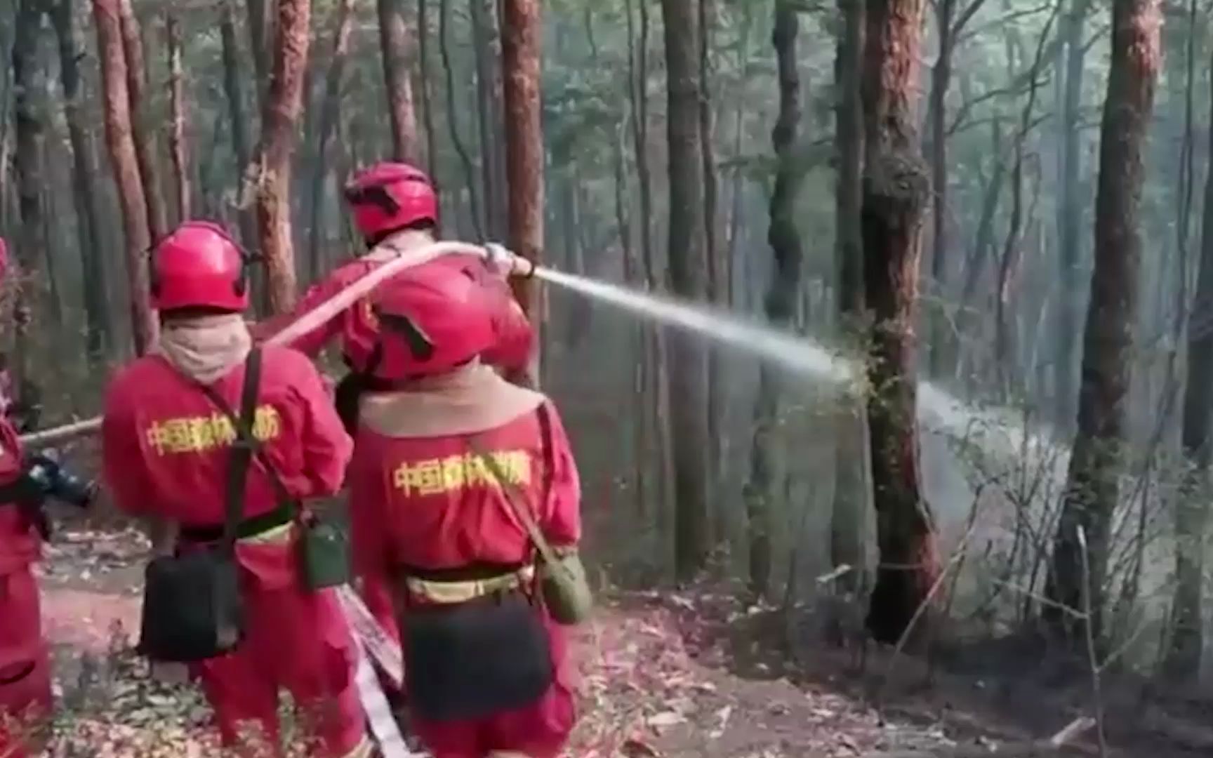 【创意宣传】森林防火有你有我