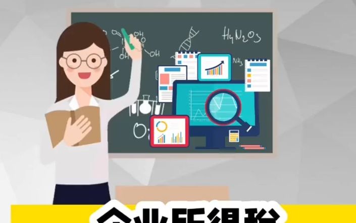 2022年企业所得税