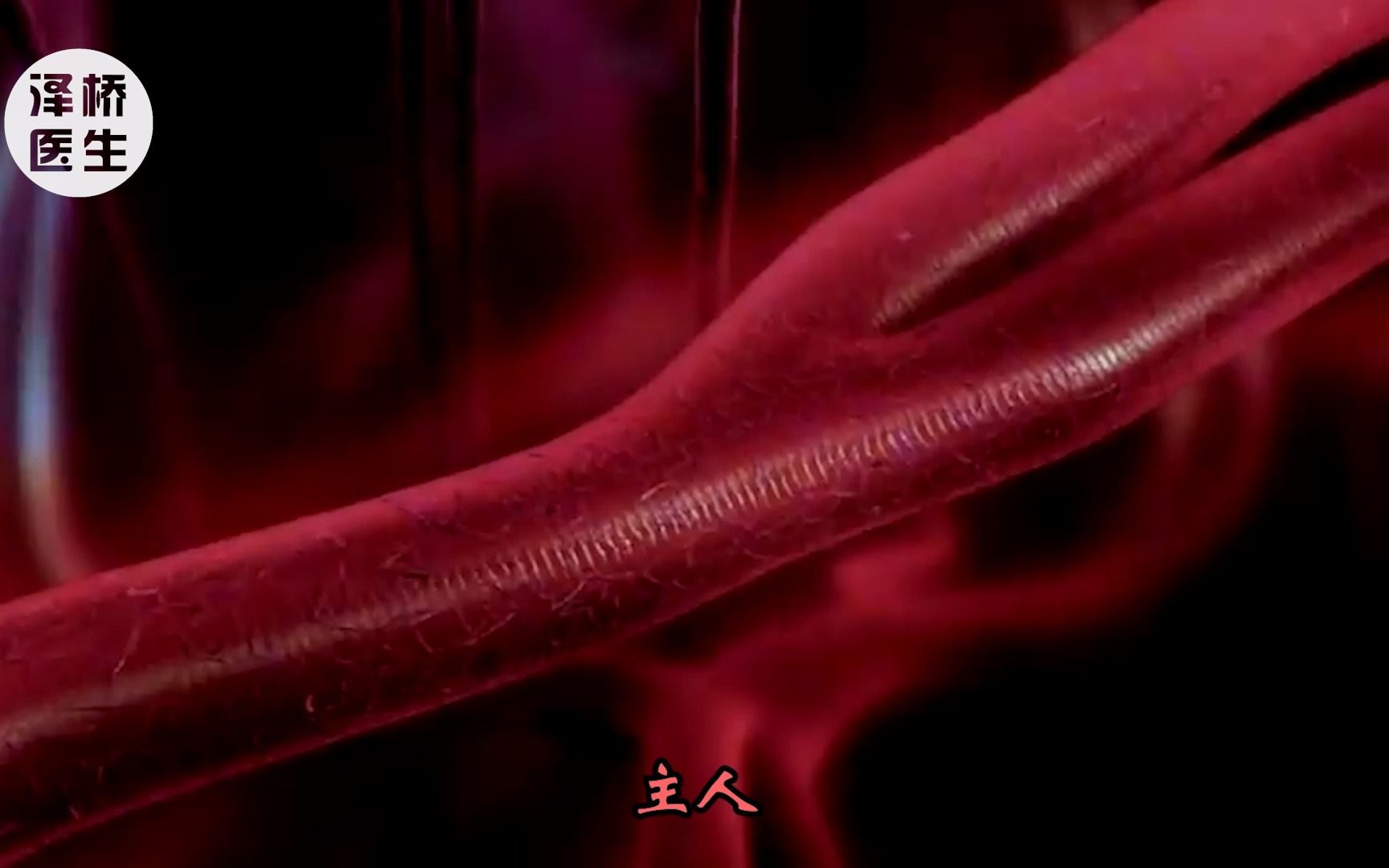 血管:曾经活泼无比,如今却一天天变得堵塞不畅!