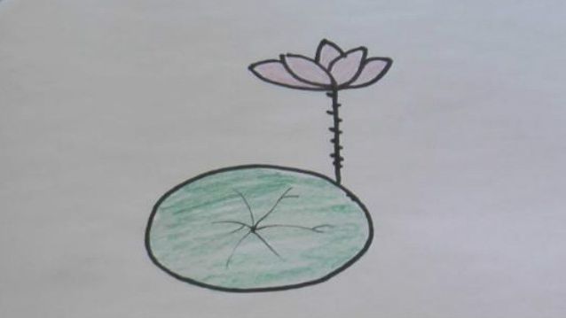 简笔画荷花好清新呀,快来画一只吧