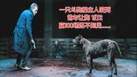 一只斗狗把主人咬死,常年让狗1打2,赢100场还不知足