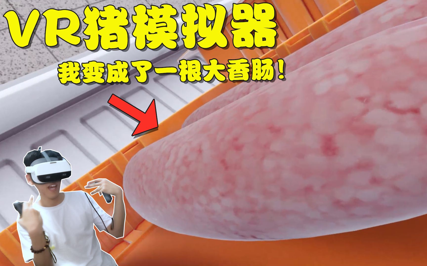 VR游戏猪模拟器,经历肥猪的一生,最后我被做成了香肠?