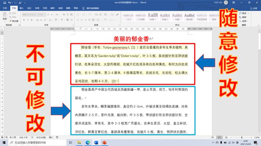 设置word文档部分或全文保护,防止被编辑修改,方法简单一学就会