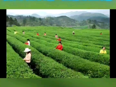 全国养老城市第一名康养最建议去的三个地方湖南省郴州市,中国十佳...