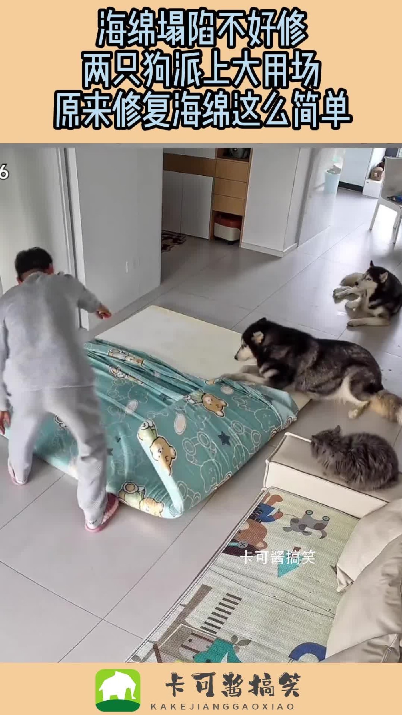 海绵塌陷不好修,两只狗派上大用场,原来修复海绵这么简单!