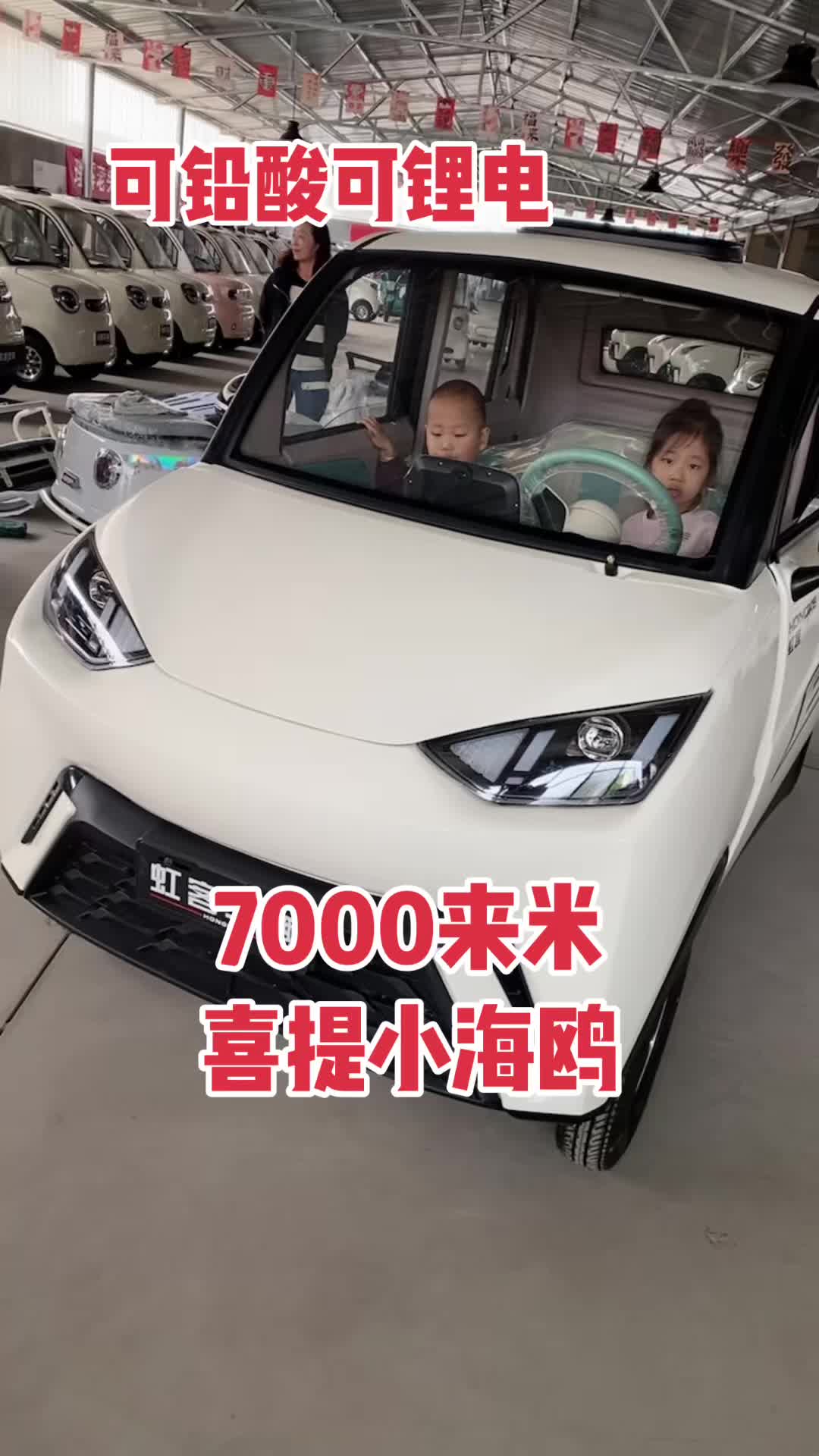 把式的,方向盘的都有!去年给媳妇买的,今年给老妈安排上…#电动四轮...