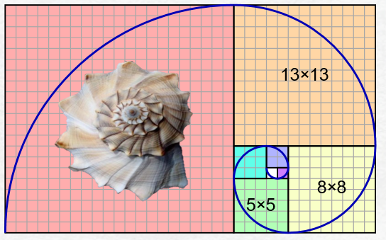 斐波那契数列, 兔子成精了, 非常有意思的一组数,