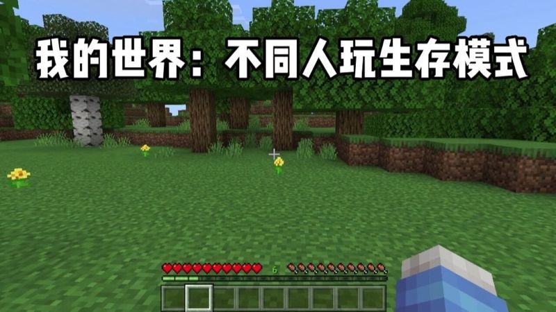 我的世界:不同人玩生存模式