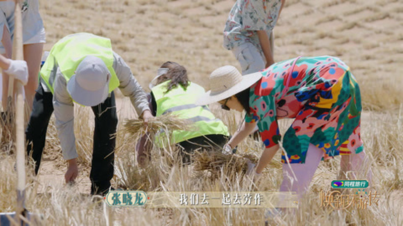《焕新环游传》|守护生态环境,共建美丽中国,焕新团在行动