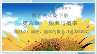青岛出版社制初中数学九年级下第六章频数频率的概念习题
