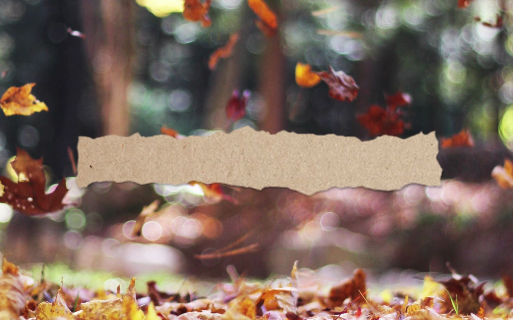 直肠癌的诊断(2)