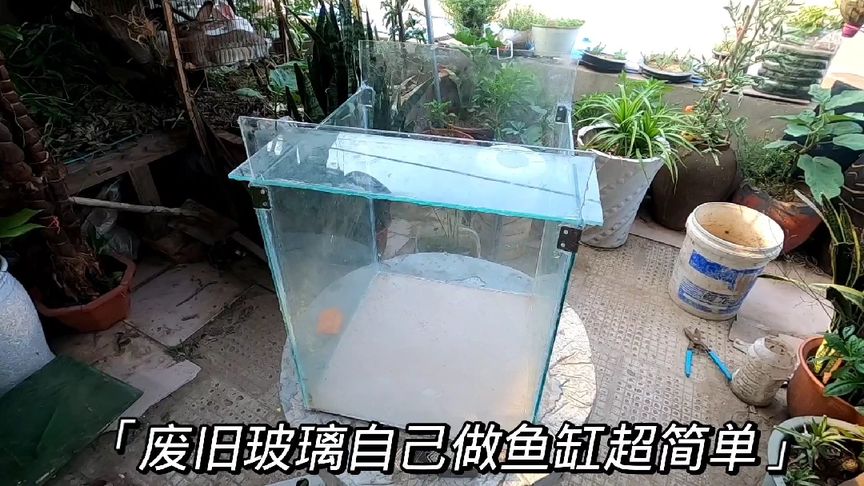 小伙用捡来废玻璃做鱼缸,方法超简单成本不足10元,学会你也可以