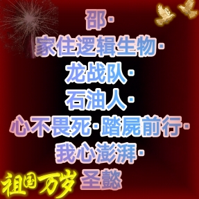龙战队石油人邵圣懿 