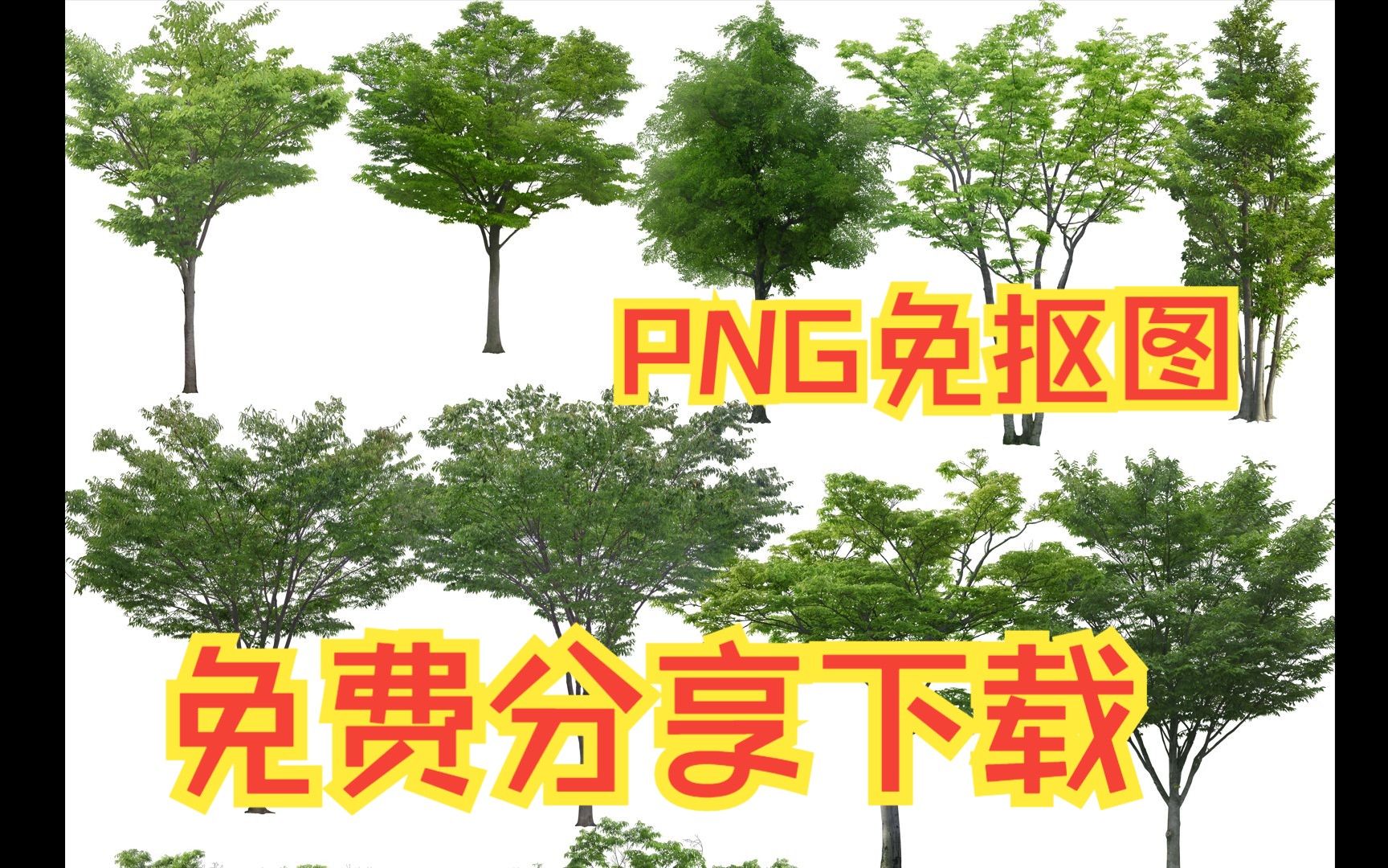 ...乔木灌木丛树木素材png透明底免抠图分享【附下载地址】-AE PS ...