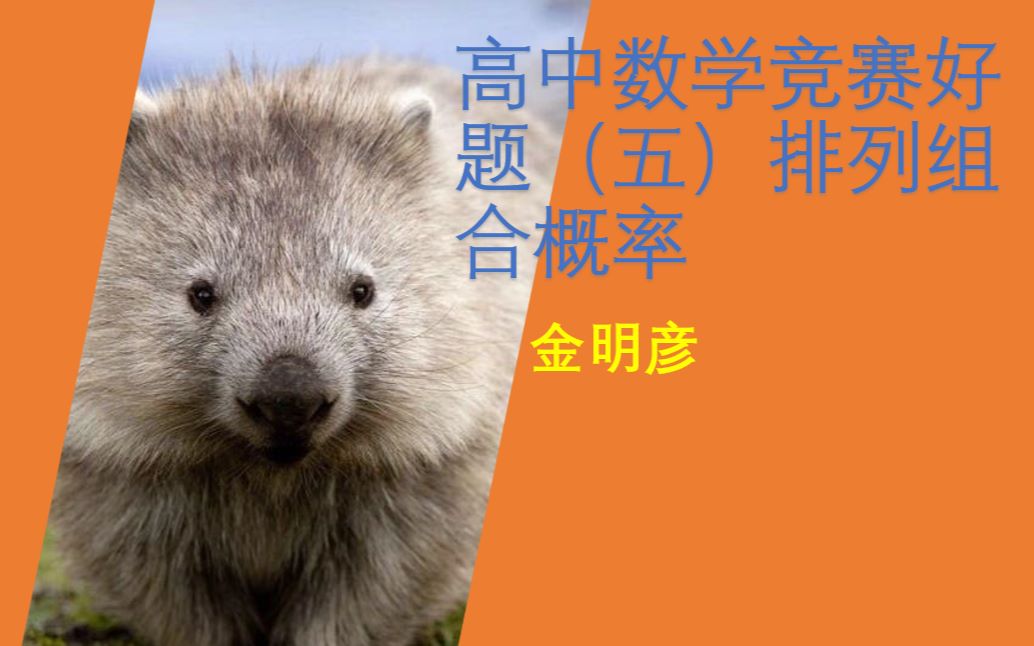 高中数学竞赛好题5 排列组合概率