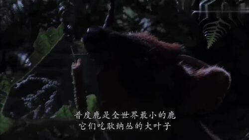 恐怖惊悚悬疑电影