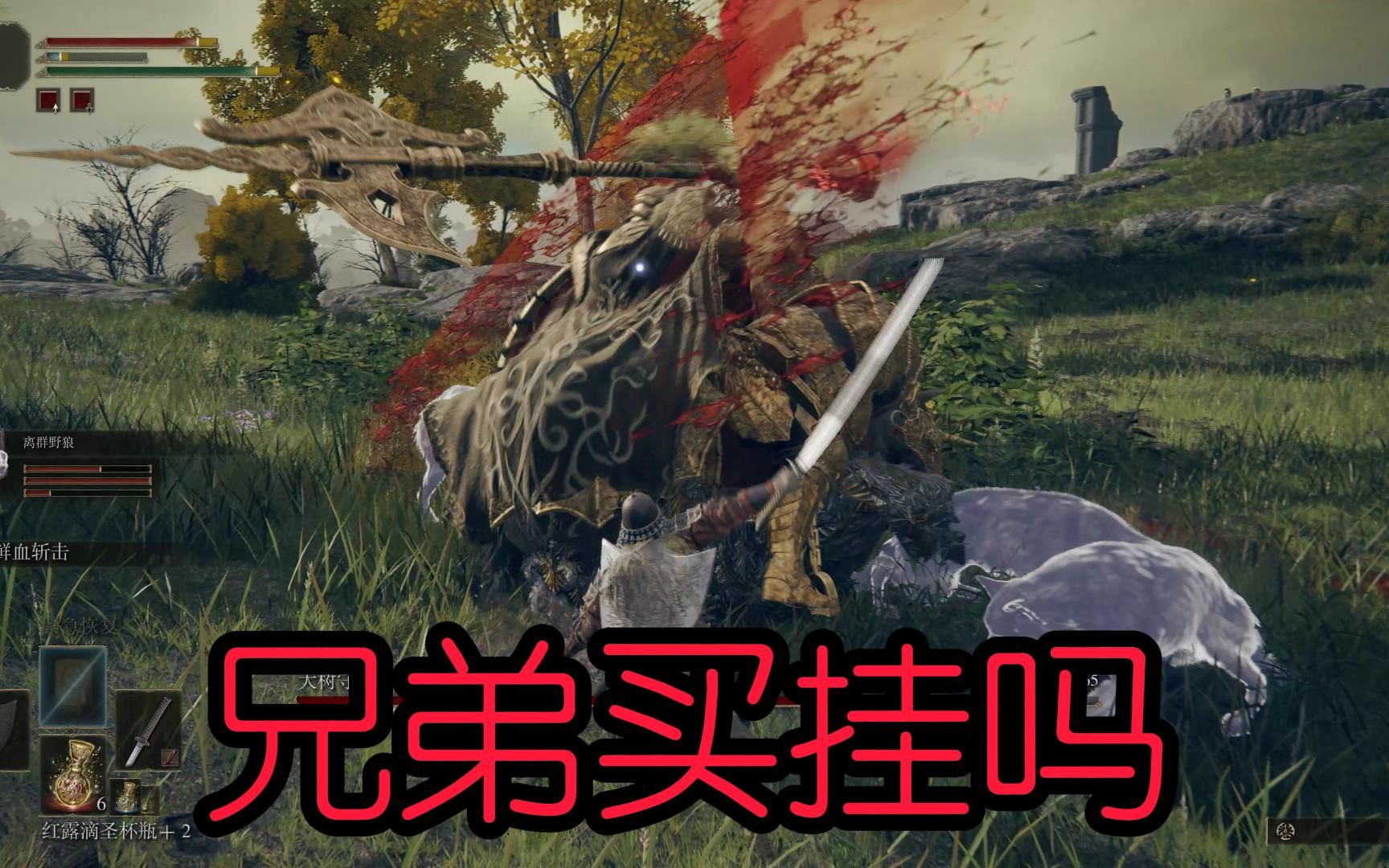 花两万六配了台电脑玩艾尔登法环,却被迫开启了外挂…