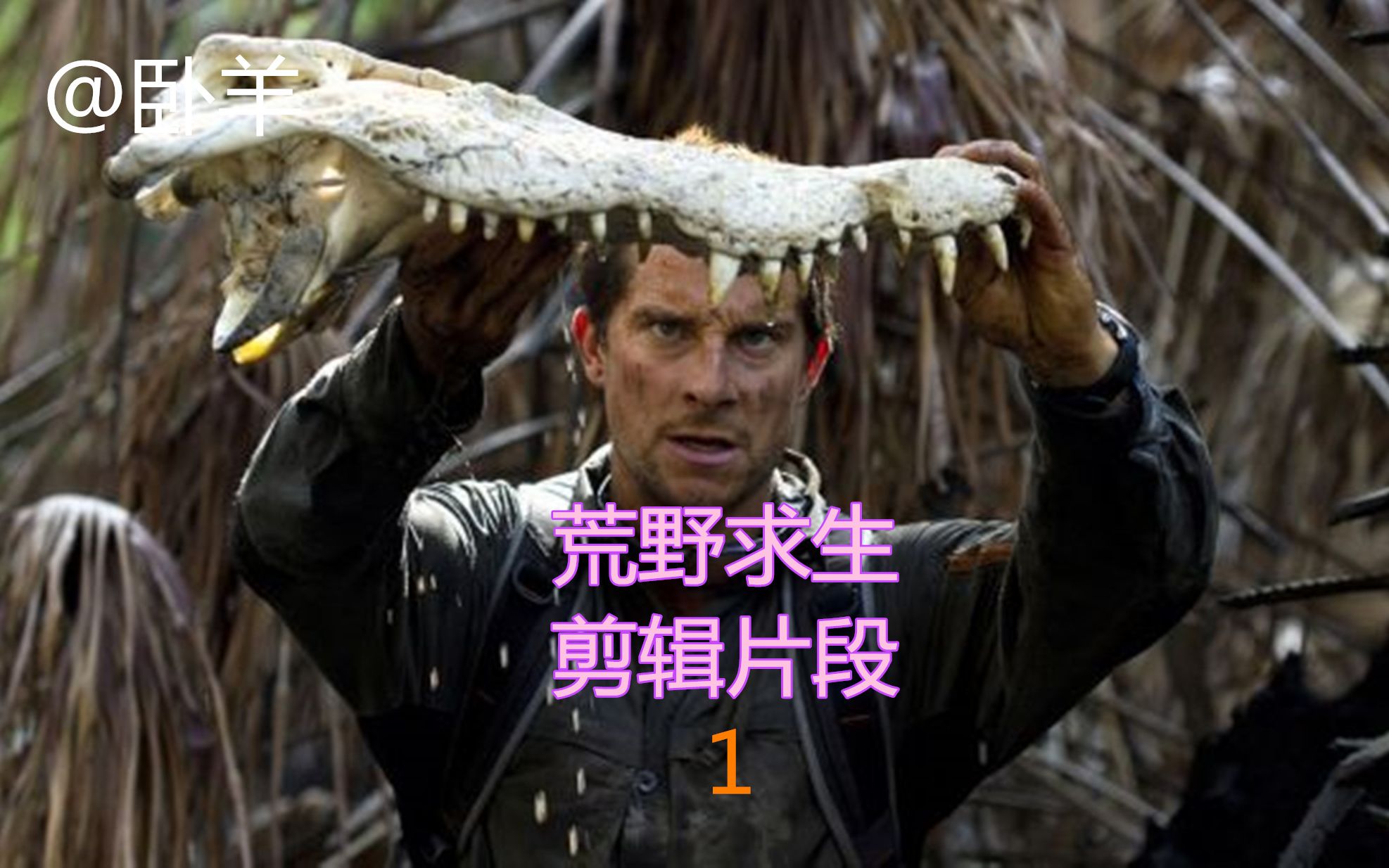 荒野求生:剪辑片段1