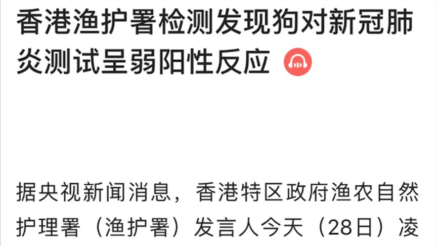 对宠物狗进行测试,结果呈弱阳性反应,狗也会感染新冠病毒吗?