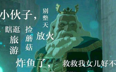 用ns玩塞尔达传说荒野之息的后果 前后差异很大!